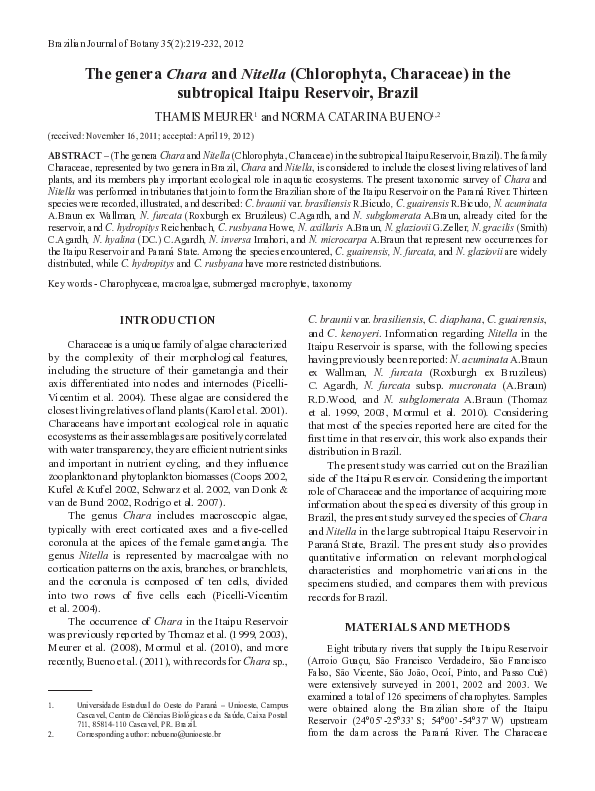 (PDF) The genera Chara and Nitella (Chlorophyta, Characeae) in the ...