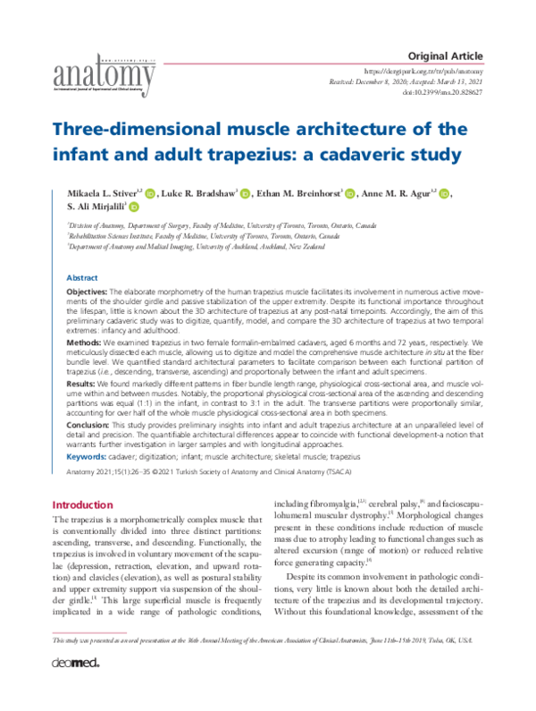 (PDF) Three-dimensional muscle architecture of the infant and adult ...