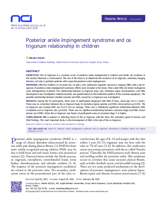 (PDF) Posterior Ankle Impingement Syndrome and Os Trigonum Relationship ...