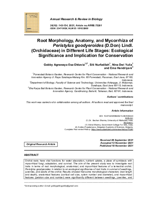 (PDF) Root Morphology, Anatomy, and Mycorrhiza of Peristylus goodyeroides (D.Don) Lindl ...