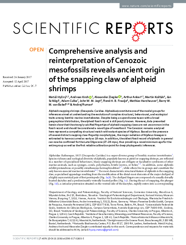 (PDF) Comprehensive analysis and reinterpretation of Cenozoic ... (PDF) Comprehensive analysis and reinterpretation of Cenozoic ...