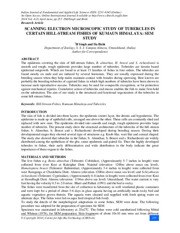 (PDF) Scanning Electron Microscopic Study of Tubercles in Certain Hill ...
