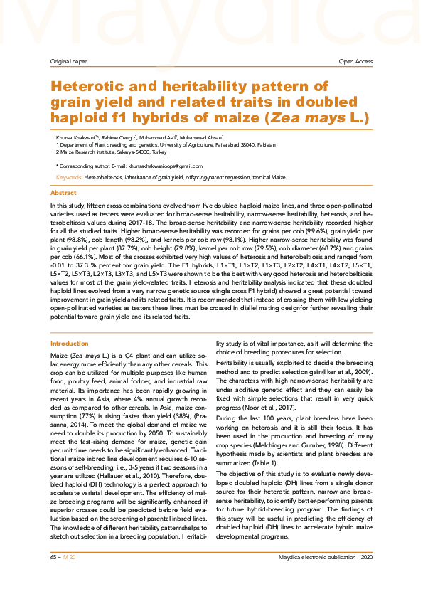 (PDF) Heterotic and heritability pattern of grain yield and related traits in doubled haploid f1 ...