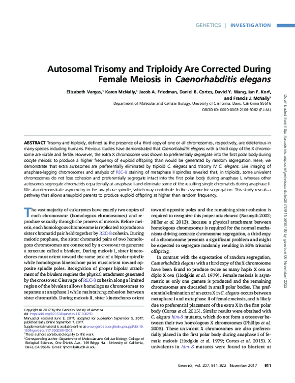 (PDF) Autosomal Trisomy and Triploidy Are Corrected During Female ...
