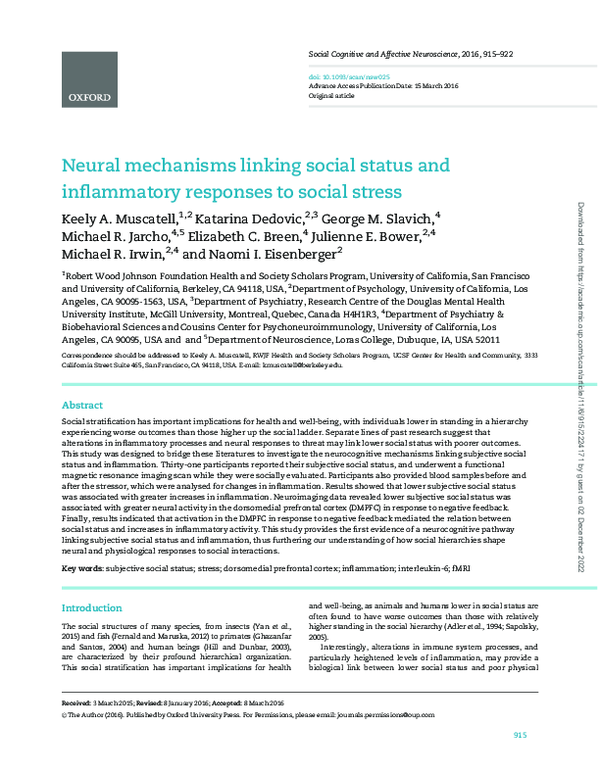 (PDF) Neural mechanisms linking social status and inflammatory ...