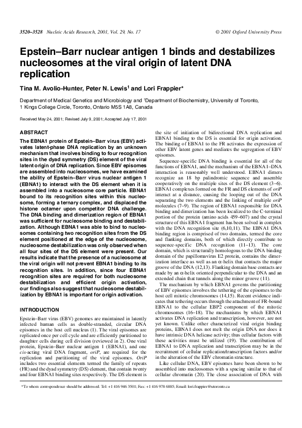 (PDF) Epstein-Barr nuclear antigen 1 binds and destabilizes nucleosomes ...