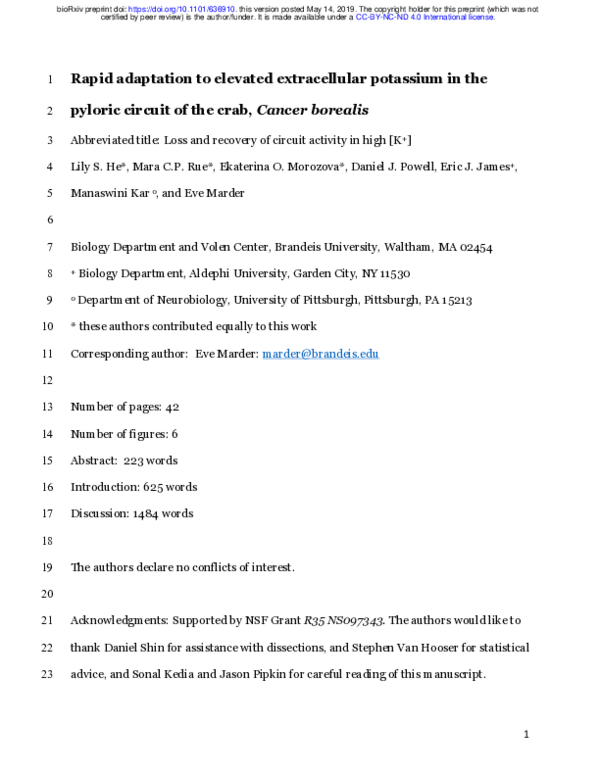 (PDF) Rapid adaptation to Elevated Extracellular Potassium in the ...