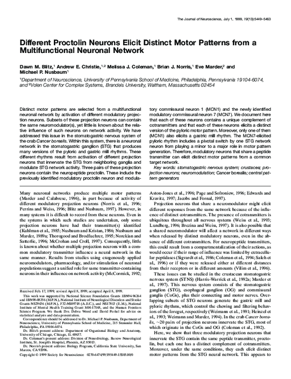 (PDF) Different Proctolin Neurons Elicit Distinct Motor Patterns from a Multifunctional Neuronal ...