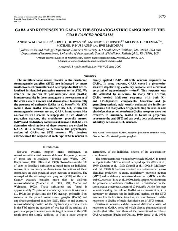 (PDF) GABA and responses to GABA in the stomatogastric ganglion of the ...