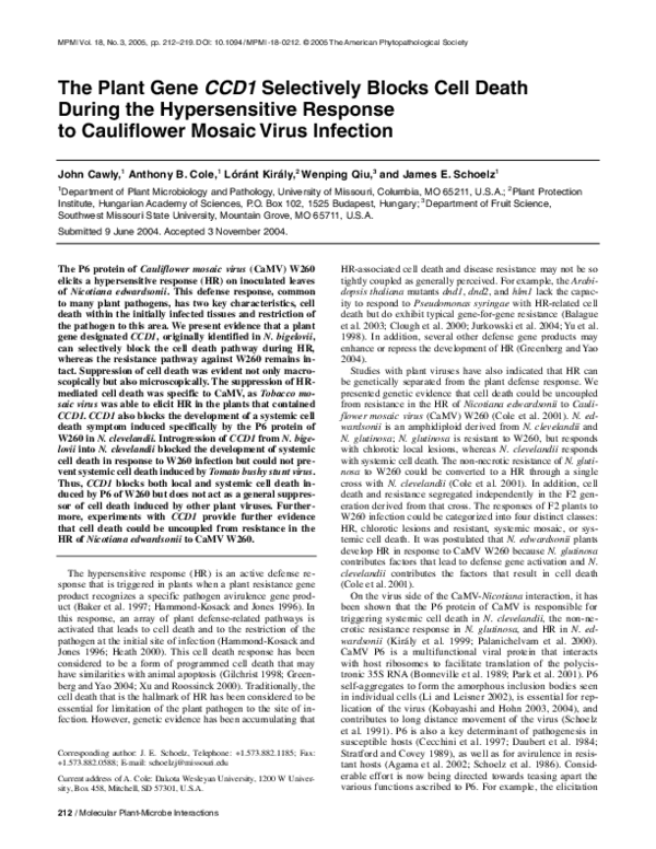 (PDF) The Plant Gene CCD1 Selectively Blocks Cell Death During the ...