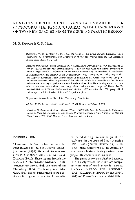 (PDF) Revision of the genus Renilla Lamarck, 1816 (Octocorallia ...