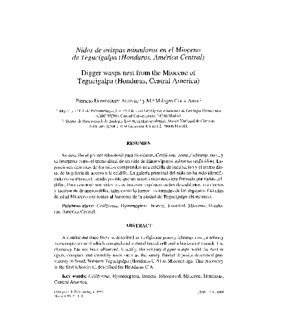 (PDF) Nidos de avispas minadoras en el Mioceno de Tegucigalpa (Honduras ...