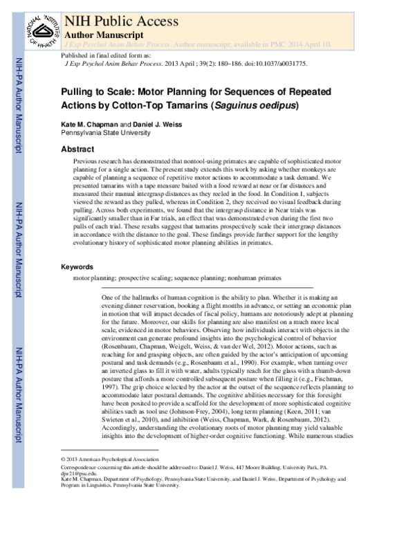 (PDF) Pulling to scale: Motor planning for sequences of repeated ...