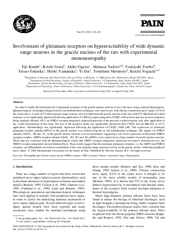 (PDF) Involvement of glutamate receptors on hyperexcitability of wide dynamic range neurons in ...