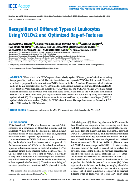 (PDF) Recognition of Different Types of Leukocytes Using YOLOv2 and ...