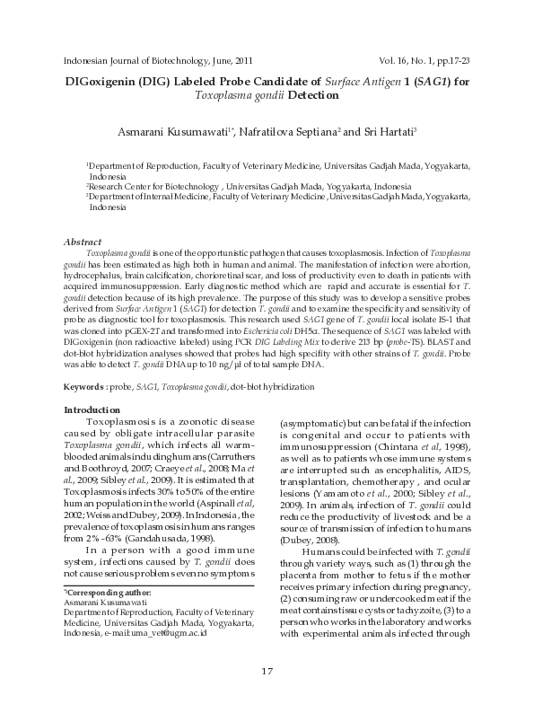 (PDF) DIGoxigenin (DIG) Labeled Probe Candidate of Surface Antigen 1 ...