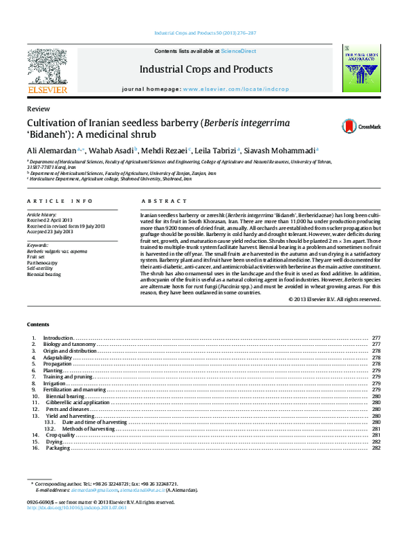 (PDF) Cultivation of Iranian seedless barberry (Berberis integerrima ...