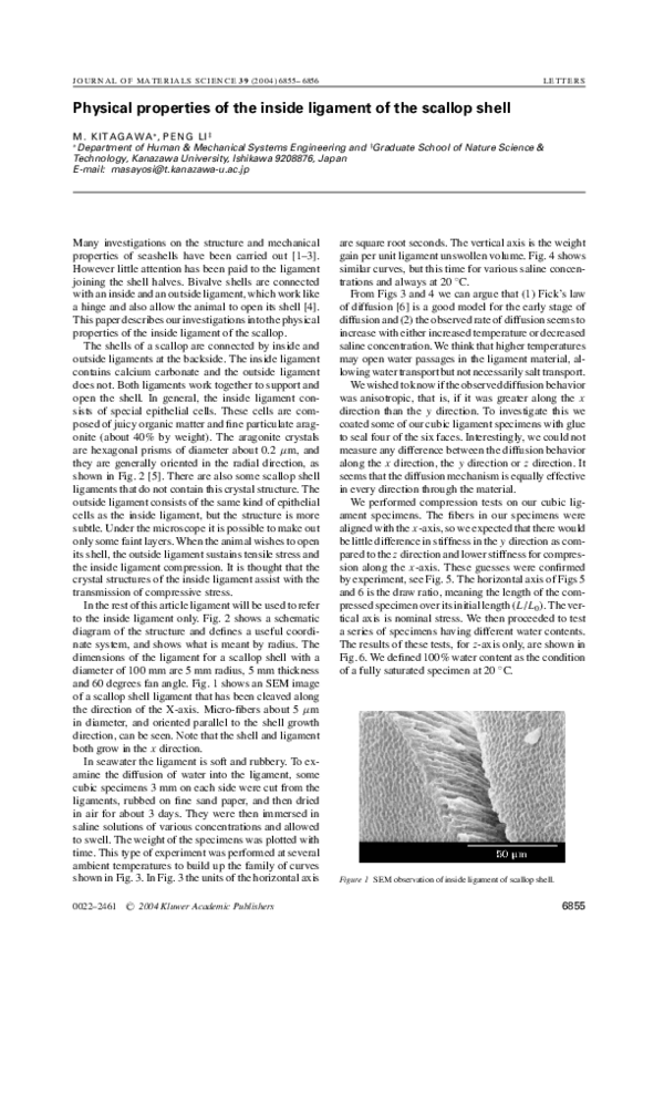 (PDF) Physical properties of the inside ligament of the scallop shell