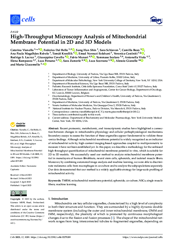 (PDF) High-Throughput Microscopy Analysis of Mitochondrial Membrane Potential in 2D and 3D Models