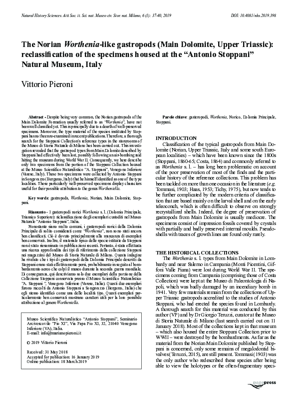 (PDF) The Norian Worthenia-like gastropods (Main Dolomite, Upper ...
