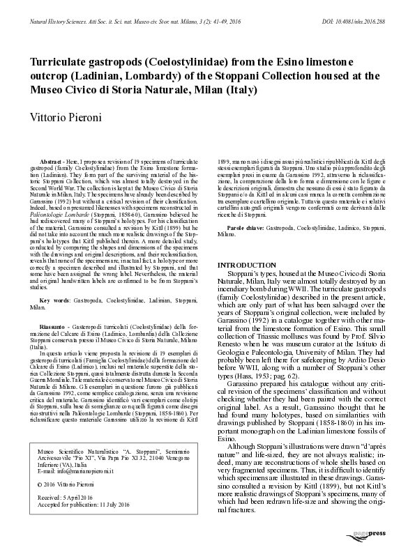 (PDF) Turriculate gastropods (Coelostylinidae) from the Esino limestone ...