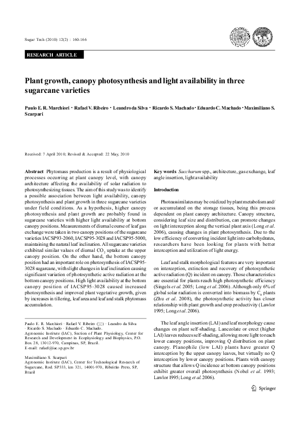 (PDF) Plant growth, canopy photosynthesis and light availability in ...