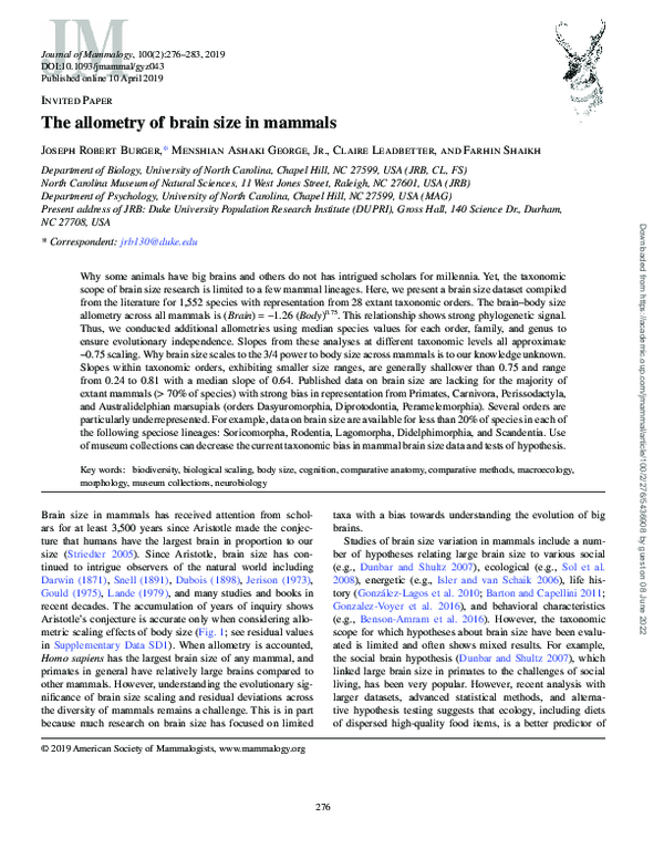 (PDF) The allometry of brain size in mammals