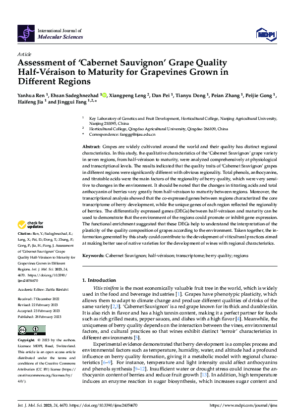 (PDF) Assessment of ‘Cabernet Sauvignon’ Grape Quality Half-Véraison to Maturity for Grapevines ...