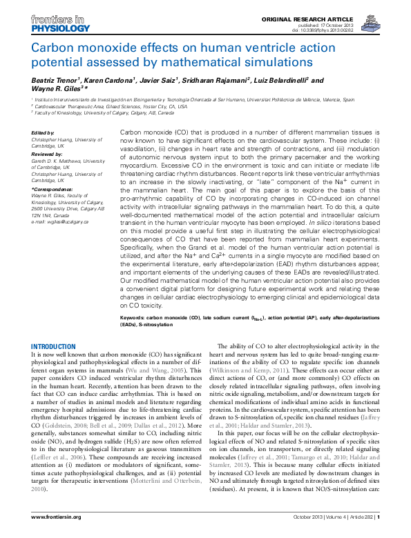 (PDF) Carbon monoxide effects on human ventricle action potential ...