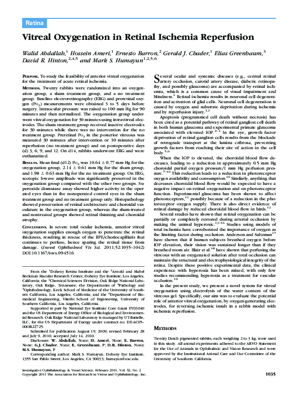(PDF) Vitreal Oxygenation in Retinal Ischemia Reperfusion