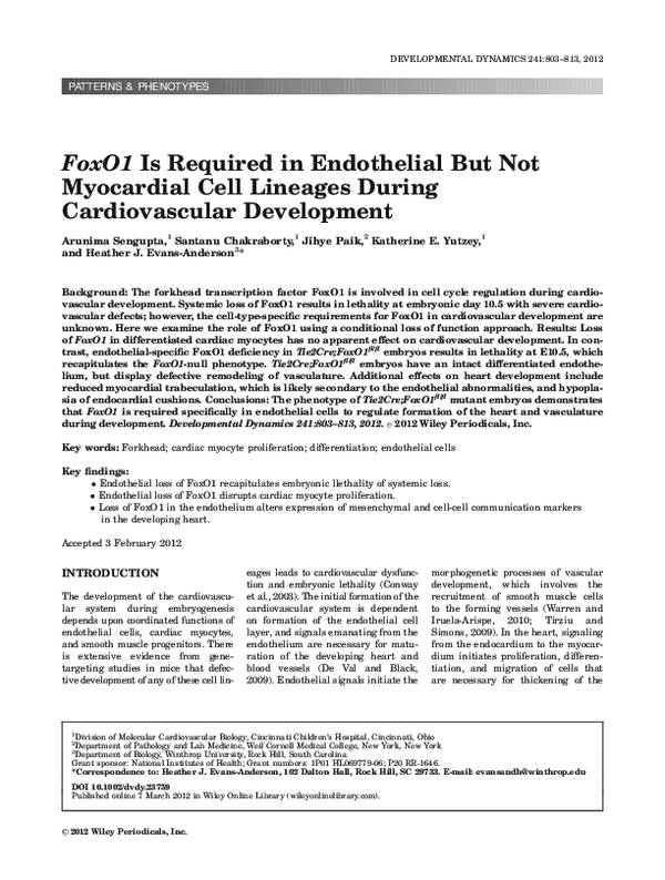 (PDF) FoxO1 is required in endothelial but not myocardial cell lineages ...