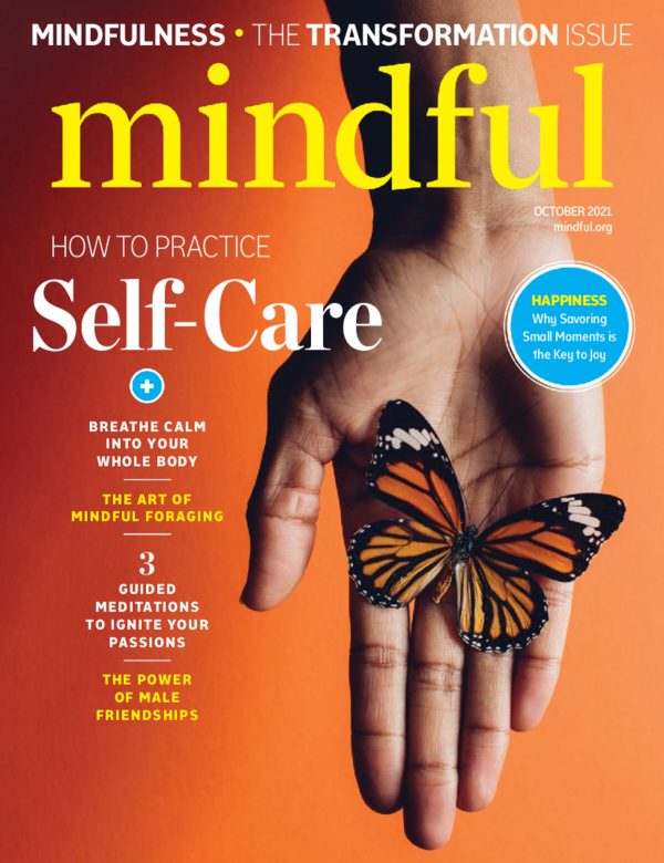 (PDF) Mindful Book