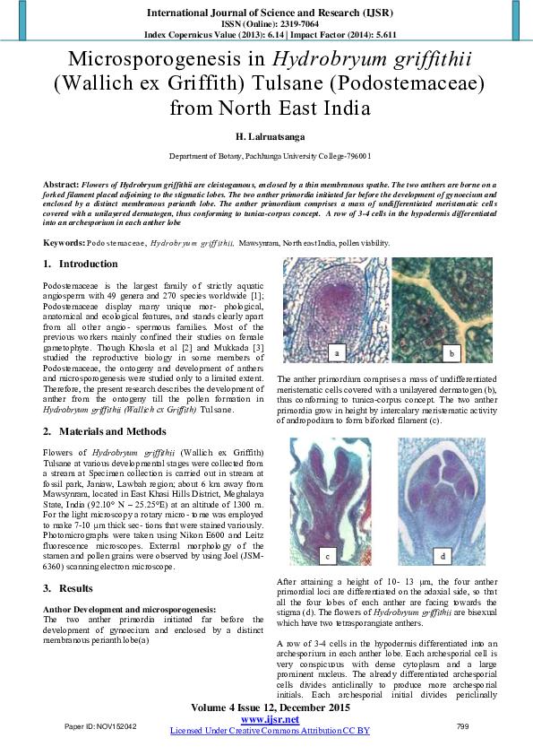 (PDF) Microsporogenesis in Hydrobryum griffithii (Wallich ex Griffith ...