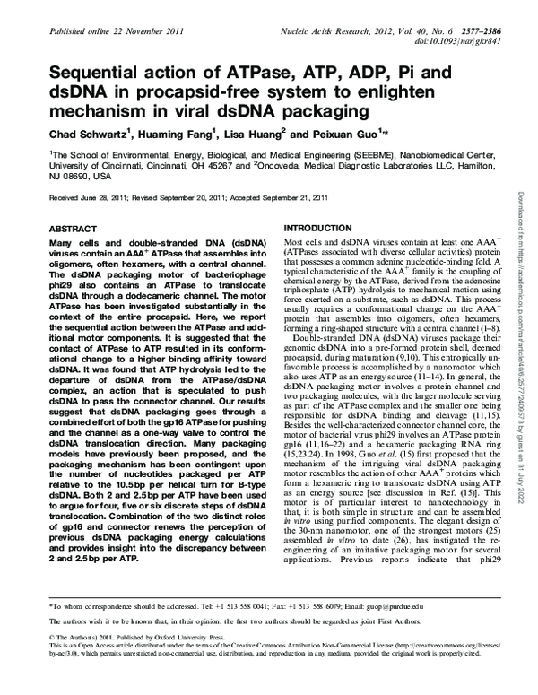 Pdf Sequential Action Of Atpase Atp Adp Pi And Dsdna In Procapsid