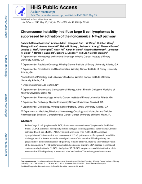 (PDF) Chromosome instability in diffuse large B cell lymphomas is ...