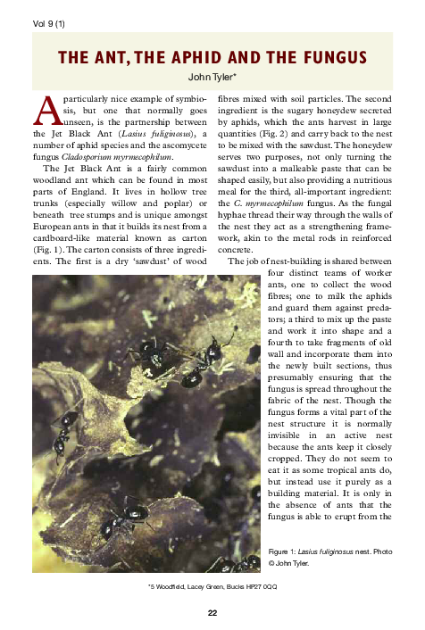 (PDF) The ant, the aphid and the fungus