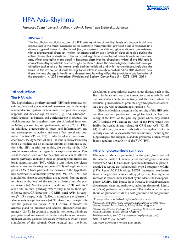 (PDF) Circadian and Ultradian HPA Axis Rhythms