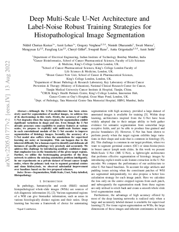 (PDF) Deep Multi-Scale U-Net Architecture and Label-Noise Robust Training Strategies for ...