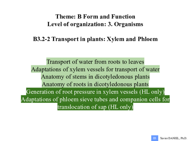 (PDF) IB DP Biology 2025 B3.2-2 Transport in plants Xylem and Phloem