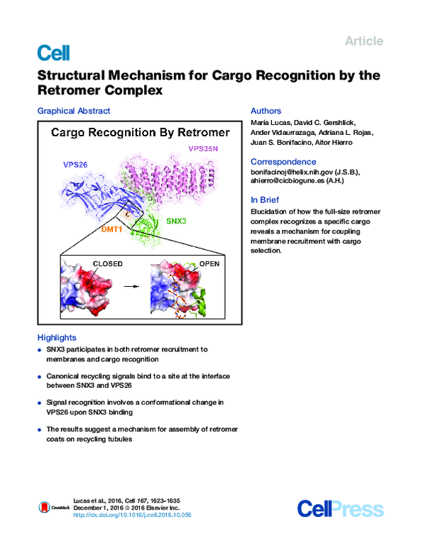 (PDF) Structural Mechanism for Cargo Recognition by the Retromer Complex