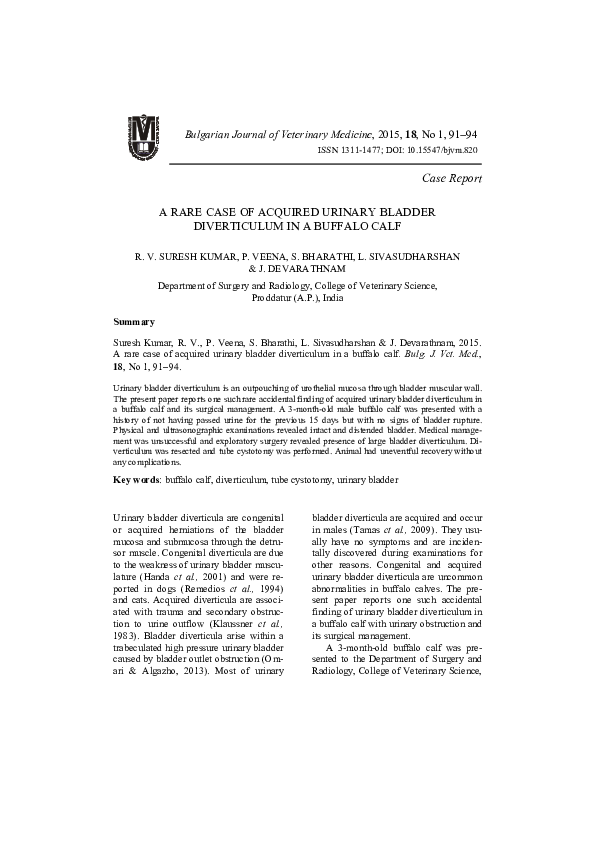 (PDF) A rare case of acquired urinary bladder diverticulum in a buffalo ...