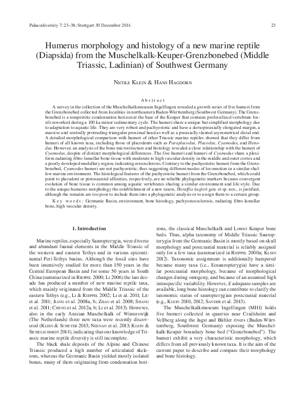 (PDF) Humerus morphology and histology of a new marine reptile ...