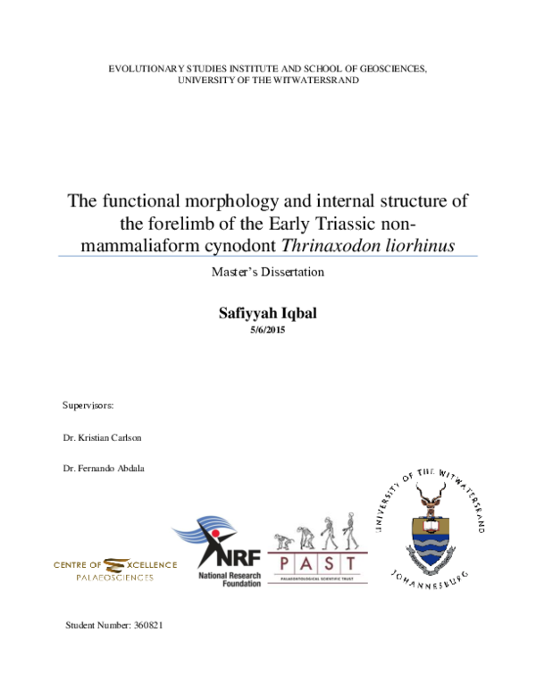 (PDF) The functional morphology and internal structure of the forelimb ...