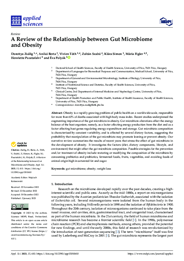 (PDF) A Review of the Relationship between Gut Microbiome and Obesity