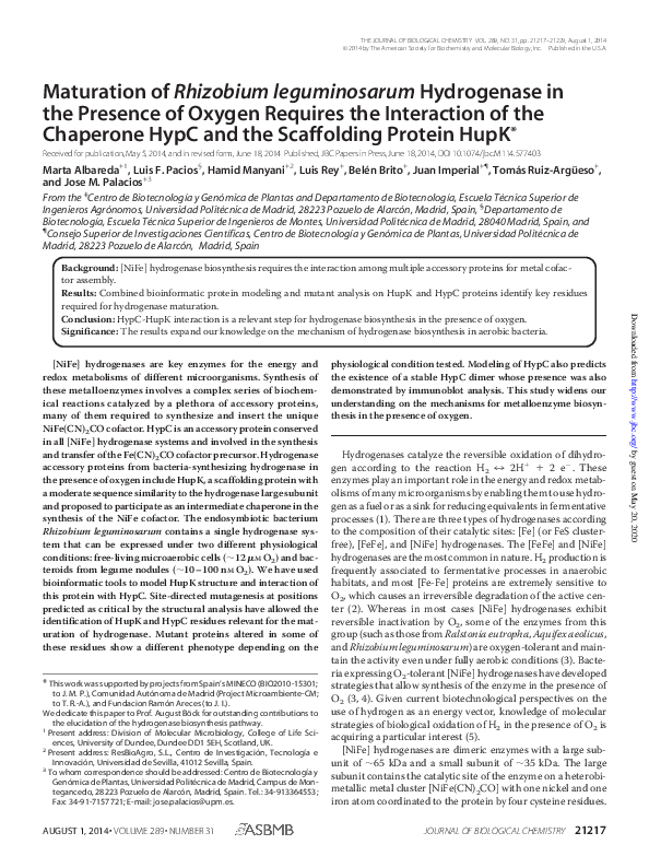 (PDF) Maturation of Rhizobium leguminosarum Hydrogenase in the Presence of Oxygen Requires the ...