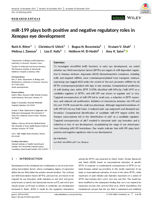 (PDF) miR ‐199 plays both positive and negative regulatory roles in ...