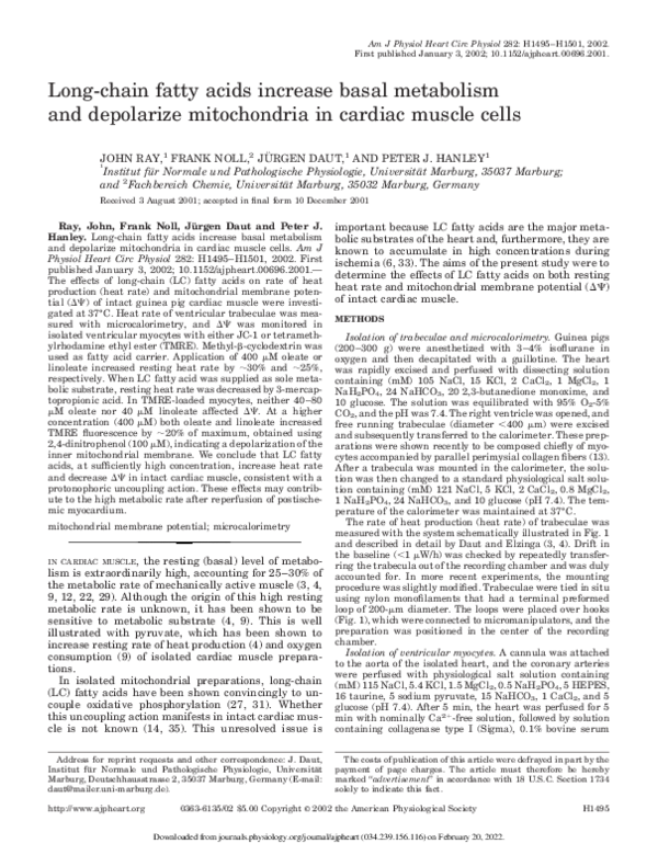 (PDF) Long-chain fatty acids increase basal metabolism and depolarize ...