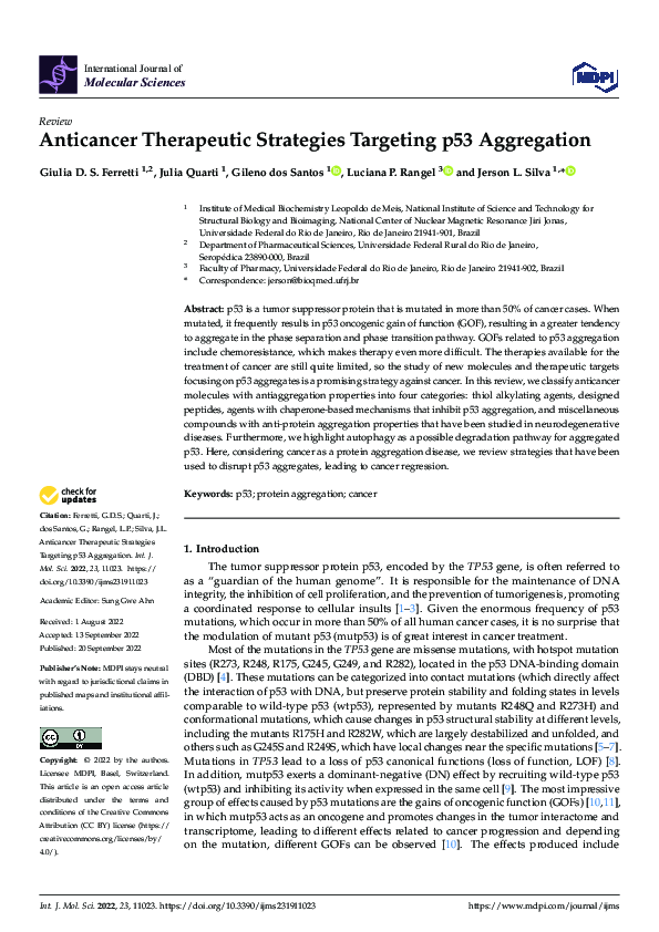 (PDF) Anticancer Therapeutic Strategies Targeting p53 Aggregation