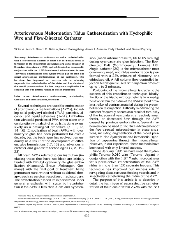 (PDF) Arteriovenous malformation nidus catheterization with hydrophilic ...