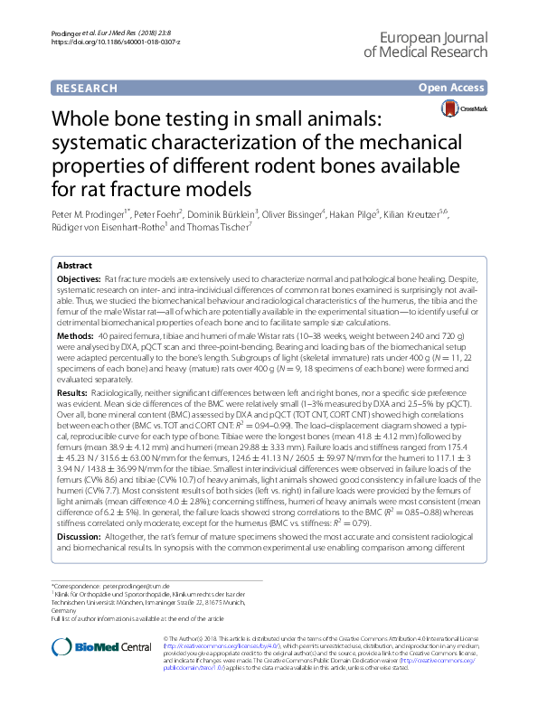 (PDF) Whole bone testing in small animals: systematic characterization ...